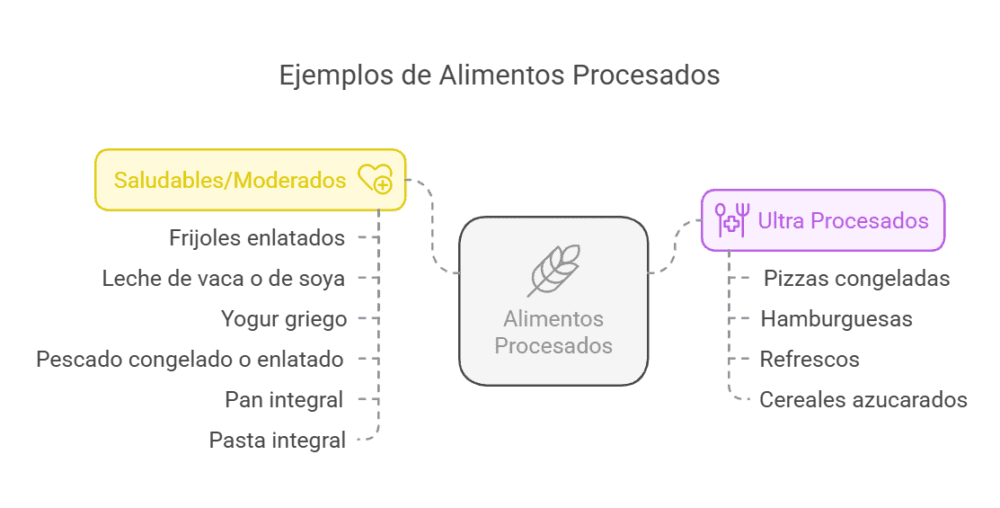 Alimentos Procesados: Guía Completa, Tipos y Ejemplos